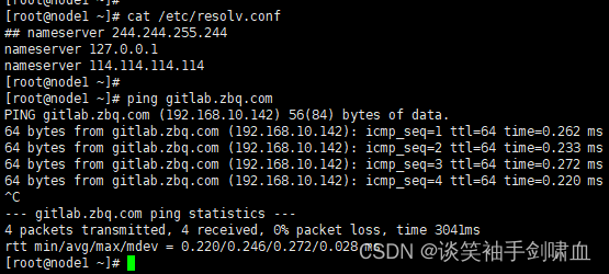 基于k8s搭建DNS服务器，并配置客户端（DNS端口非53）_dns端口不是53-CSDN博客