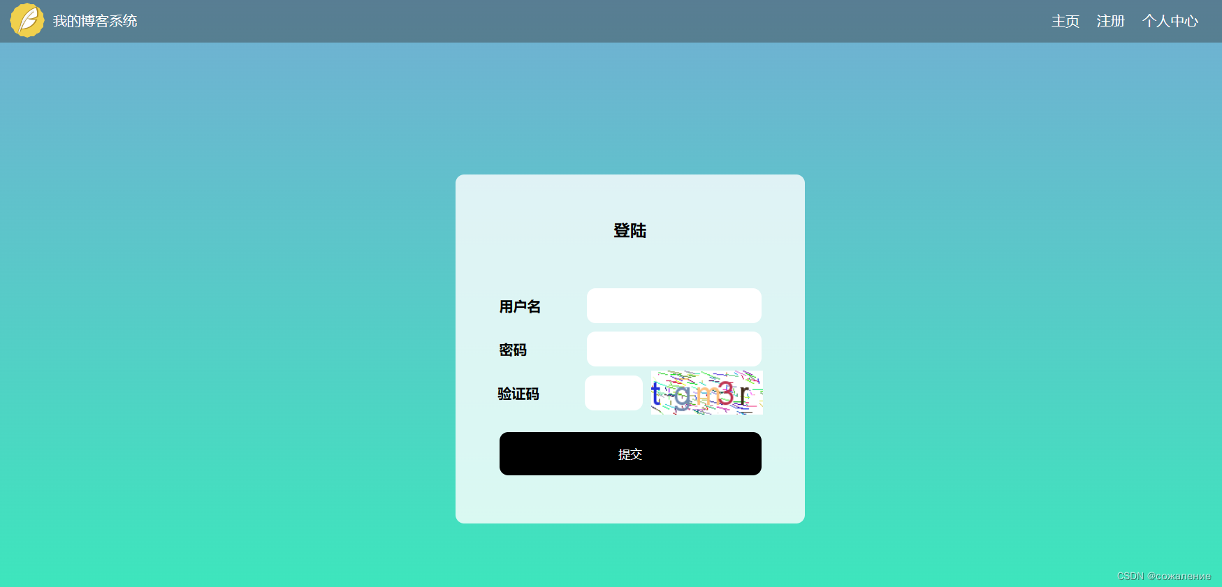 个人博客系统(二) Csdn博客