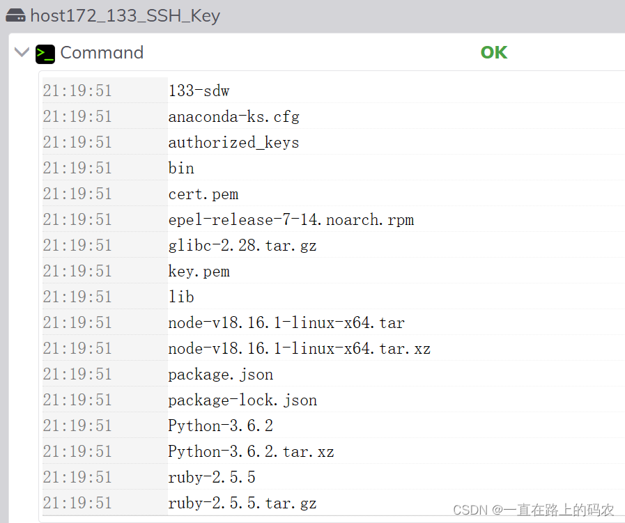 在 rundeck 中添加远程节点，节点采用私钥认证_rundeck添加shell-CSDN博客