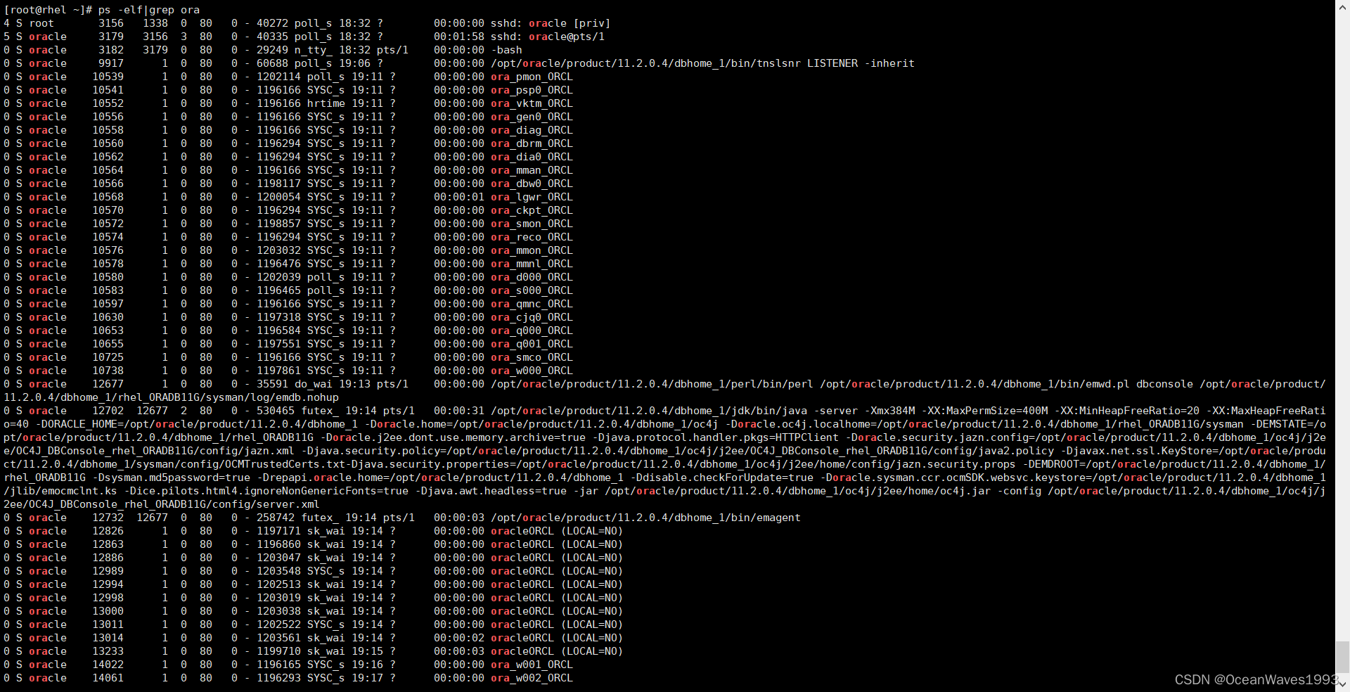redhat 7.9 安装oracle 11g-11.2.0.4_redhat 7.9部署oracle数据库11g-CSDN博客