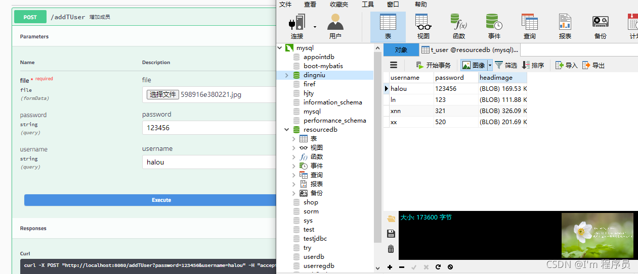 Springboot操作数据库表的blob字段springboot Blob Csdn博客