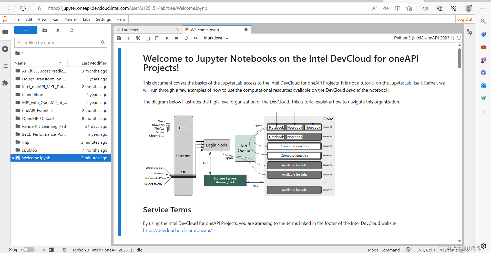 OS补充实验——ONEAPI_one api code nil message-CSDN博客