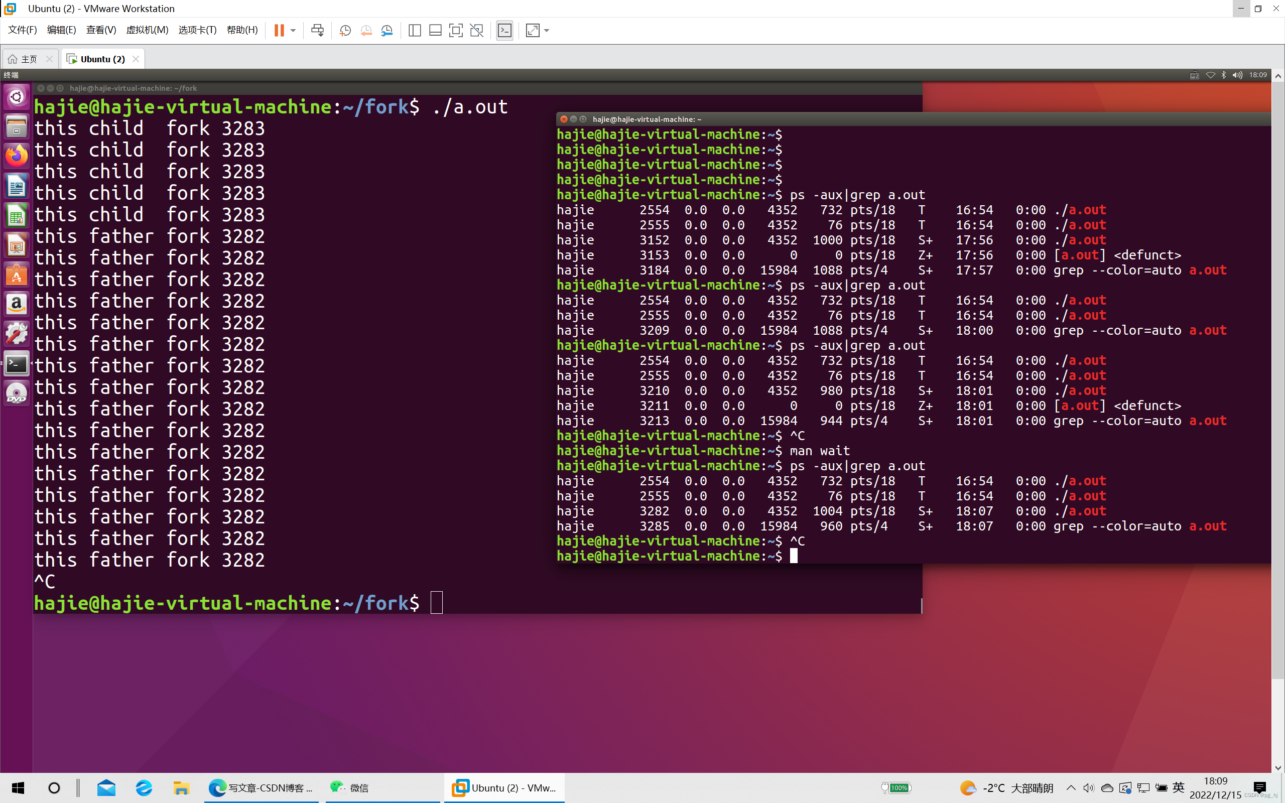 Linux进程—vfork函数的使用,父进程等待子进程退出,vfork和fork区别vfork可以让父进程先输出子进程后输出吗 Csdn博客
