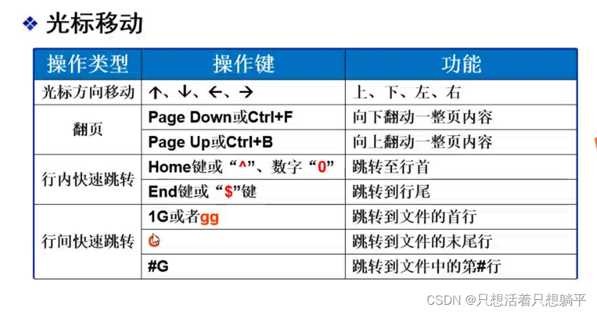 Vim脚本编辑器的使用如何用vim运行脚本 Csdn博客 