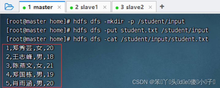 4.1 Spark SQL概述、数据帧与数据集_java datasets spark.sql-CSDN博客