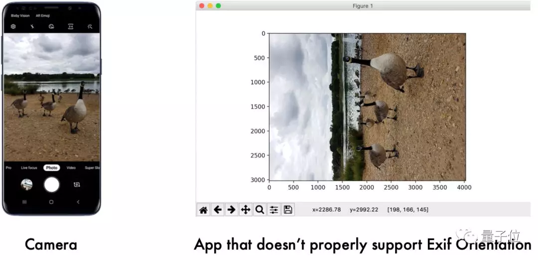 图像中的Exif信息及其处理_.getexif-CSDN博客