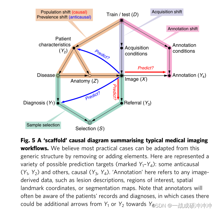 【论文阅读】Causality matters in medical imaging-CSDN博客
