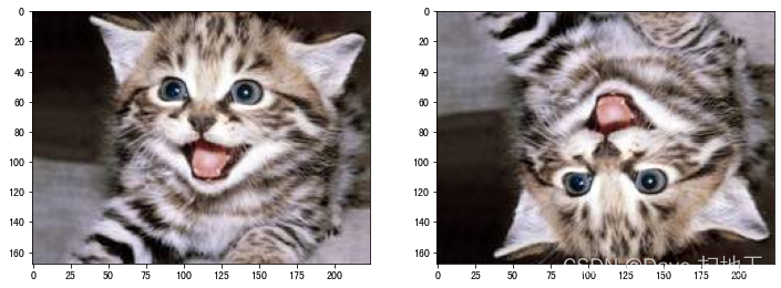 Albumentations 中的空间级图像变换-CSDN博客