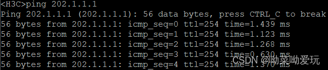 H3C PPPOE实验_h3c路由器后台查看pppoe在线客户端-CSDN博客