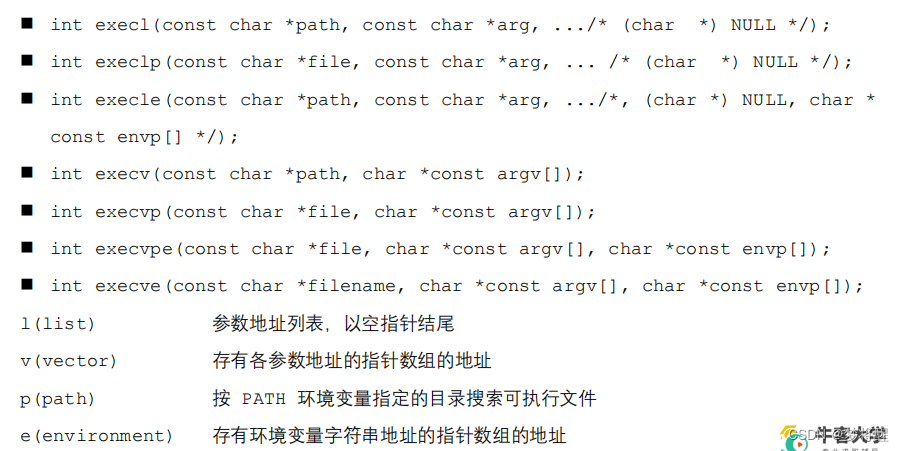 Linux多进程开发——exec函数族 Csdn博客 