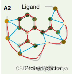 论文笔记Predicting Drug−Target Interaction Using a Novel Graph NeuralNetwork with 3D Structure ...