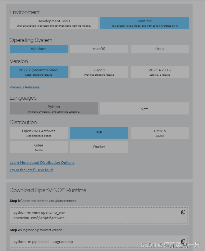 Window Intel配置openvino Runtimepython导入ntime Csdn博客