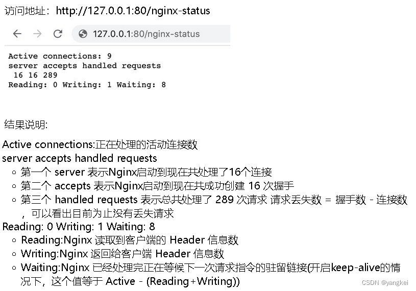 Elk Metricbeat配置nginx的日志分析 Metricbeat Part2metricbeat Nginxyangkei的 