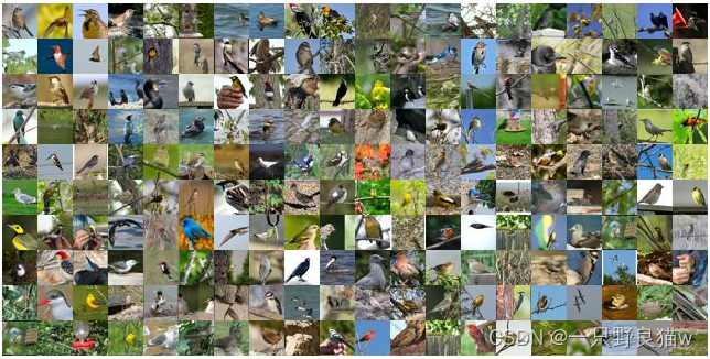 Caltech-UCSD Birds-200-2011_cub数据集的attribute文件-CSDN博客