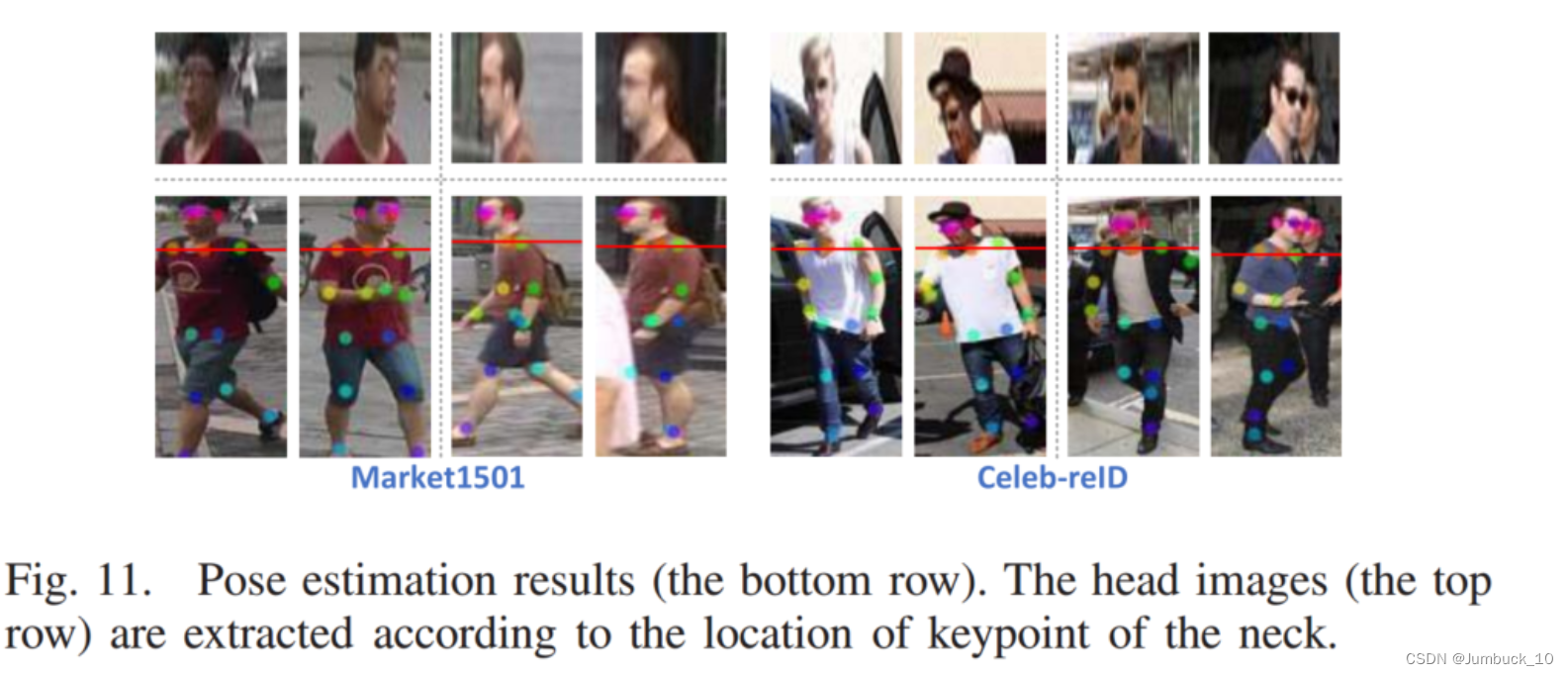 【读论文】（换装行人重识别）超标量神经元：采用矢量神经元胶囊实现”长周期“的行人重识别【有自己的实践比如加了超像素随机擦除】_换衣行人重识别 ...