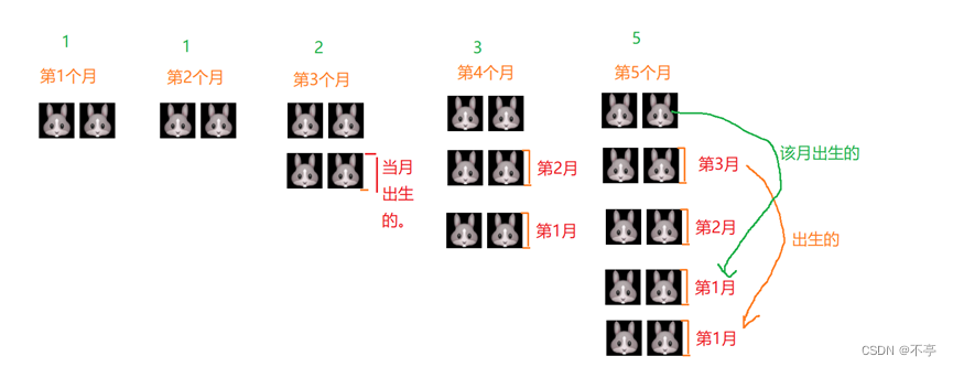 兔子生兔子问题（java实现）java兔子繁殖问题 Csdn博客
