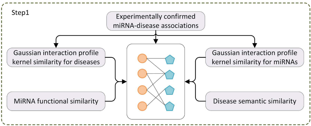 GRPAMDA：基于图随机传播网络和注意网络的miRNA与疾病关联预测（Briefings in Bioinformatics）_高斯互作谱核 ...