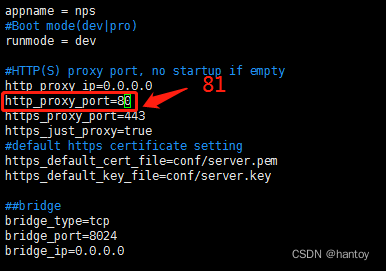 【精】如何搭建NPS进行内网穿透_nps内网穿透-CSDN博客