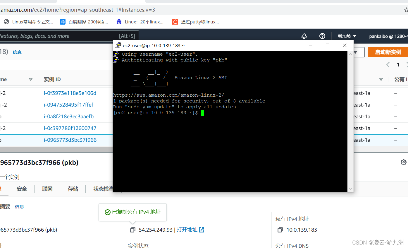 双版本控制-CSDN博客
