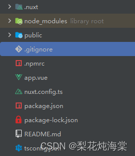 Nuxt3初始化项目指南_nuxt3文档-CSDN博客