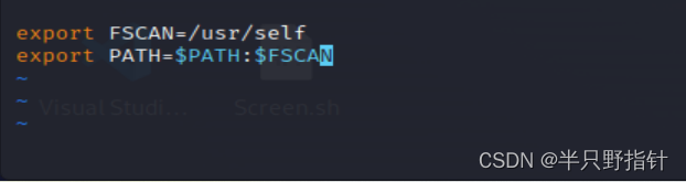 内网主动信息收集之使用fscan进行漏洞扫描_fscan命令-CSDN博客