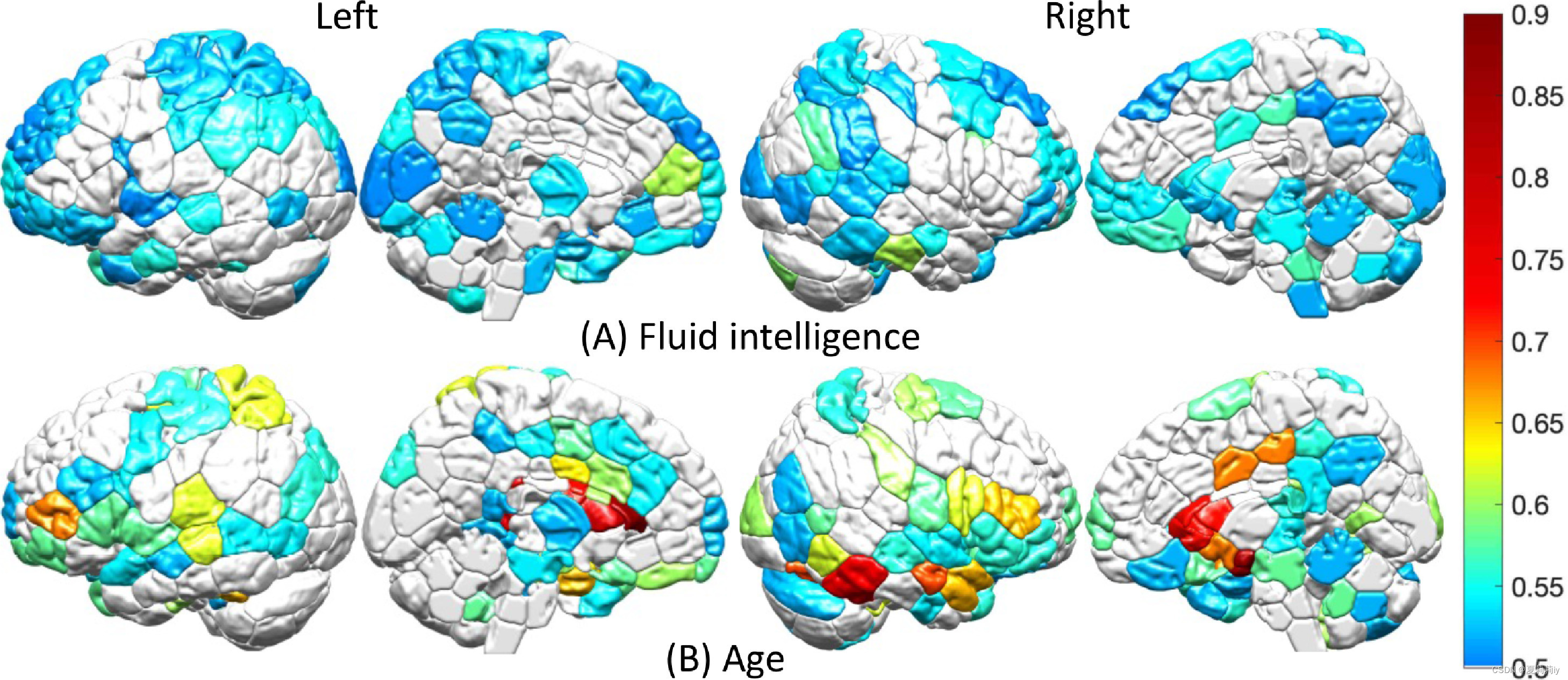 [论文精读]Spatio-temporal directed acyclic graph learning with attention ...