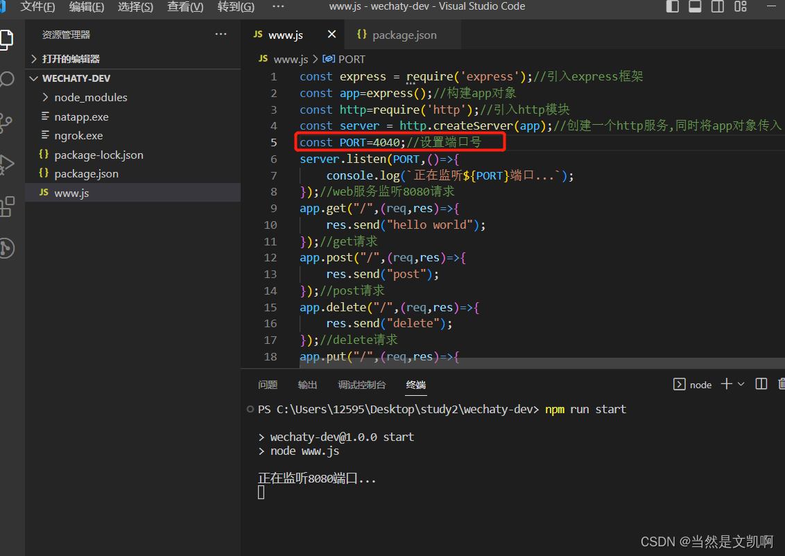 快速搭建web服务并实现内网穿透（利用ngrok和NATAPP）_ngrok如何启动web服务-CSDN博客