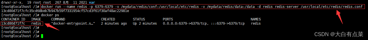 Docker安装最新稳定版Redis7（redis-7.0.5）（参考官方文档）_redis最新稳定版本-CSDN博客