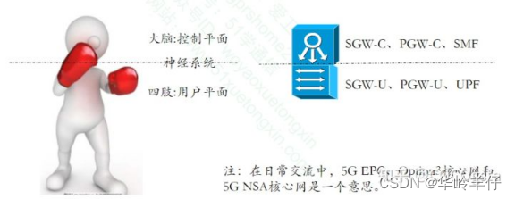 5GC基础：架构和网元_5gc架构-CSDN博客