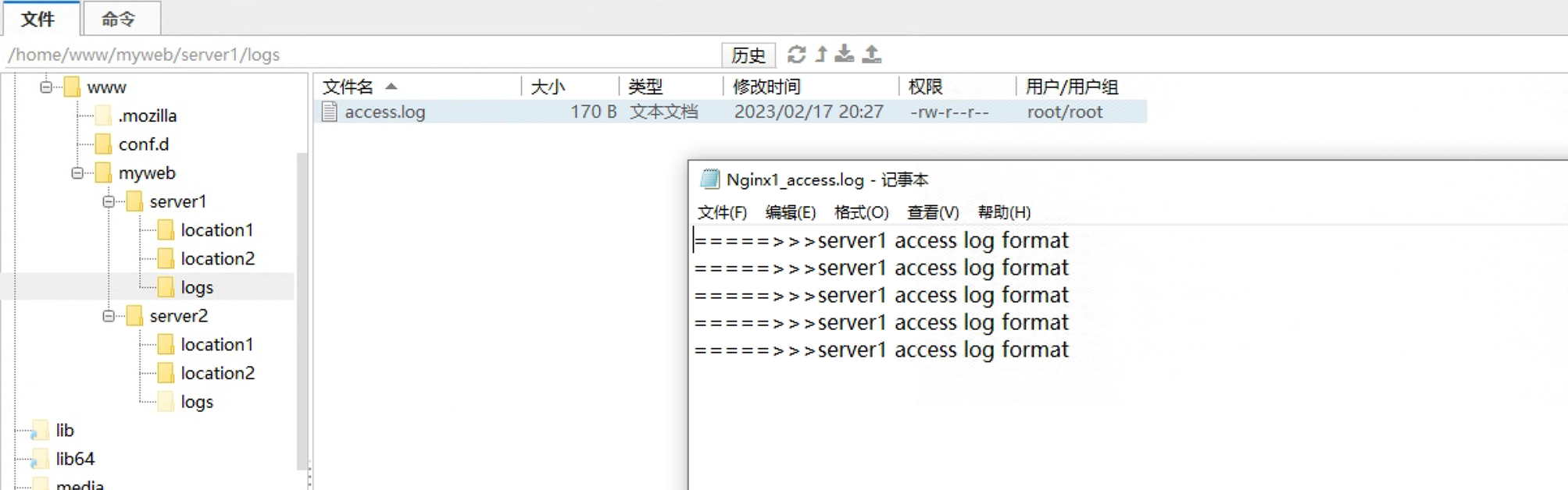 零基础自学nginx 基础篇 1 初识nginx 110 Nginx服务器基础配置实例 1103 实例测试 Csdn博客 