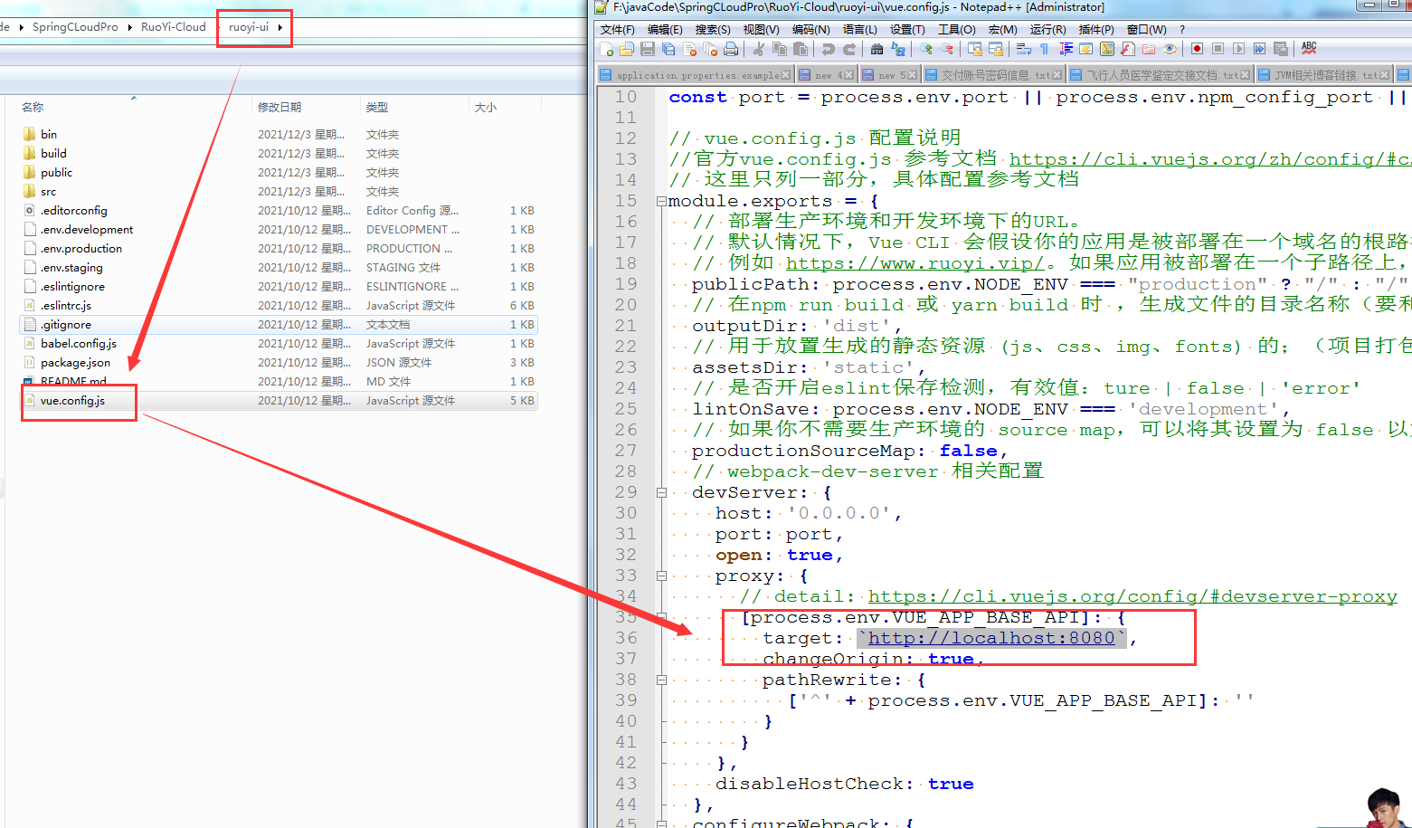 RuoYi框架微服务版本(windows环境)二次开发环境搭建详解【小白版】_ruoyi wcs-CSDN博客