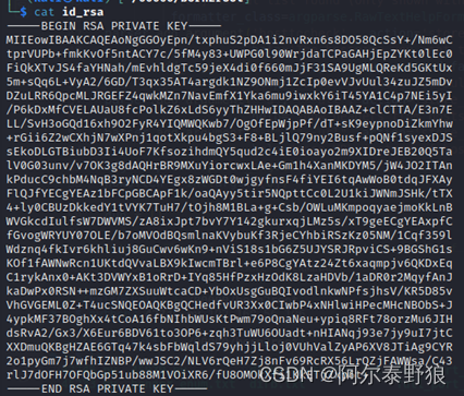 实战打靶集锦-003-Born2root-CSDN博客
