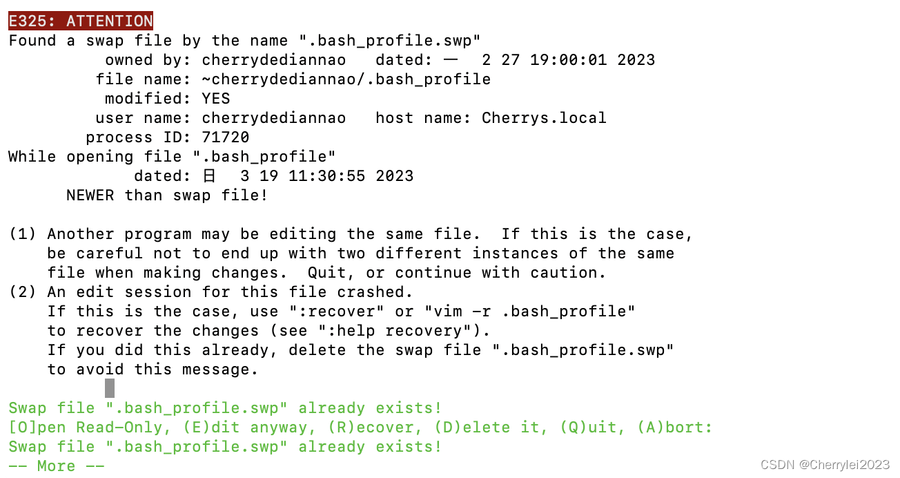 Flutter环境配置MacOs M1_flutter 执行macos终端指令-CSDN博客