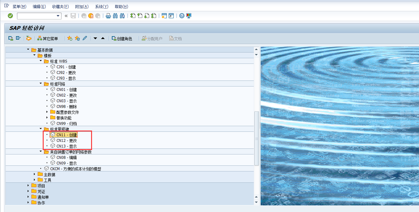 SAP PS 第5节 标准WBS及标准网络_wbs cj20n-CSDN博客