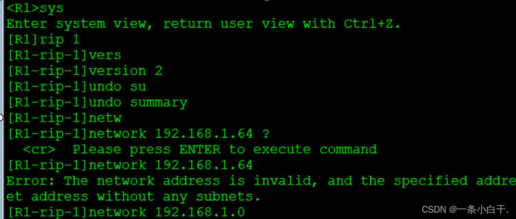 RIP 实验-CSDN博客