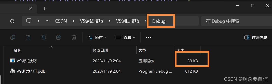 【C语言】VS实⽤调试技巧&（Debug和Release）监视&内存_vs内存监控、-CSDN博客
