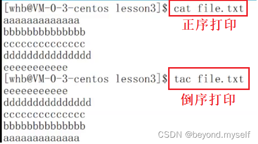 Linux篇【1】：基本指令详解_sponge linux-CSDN博客