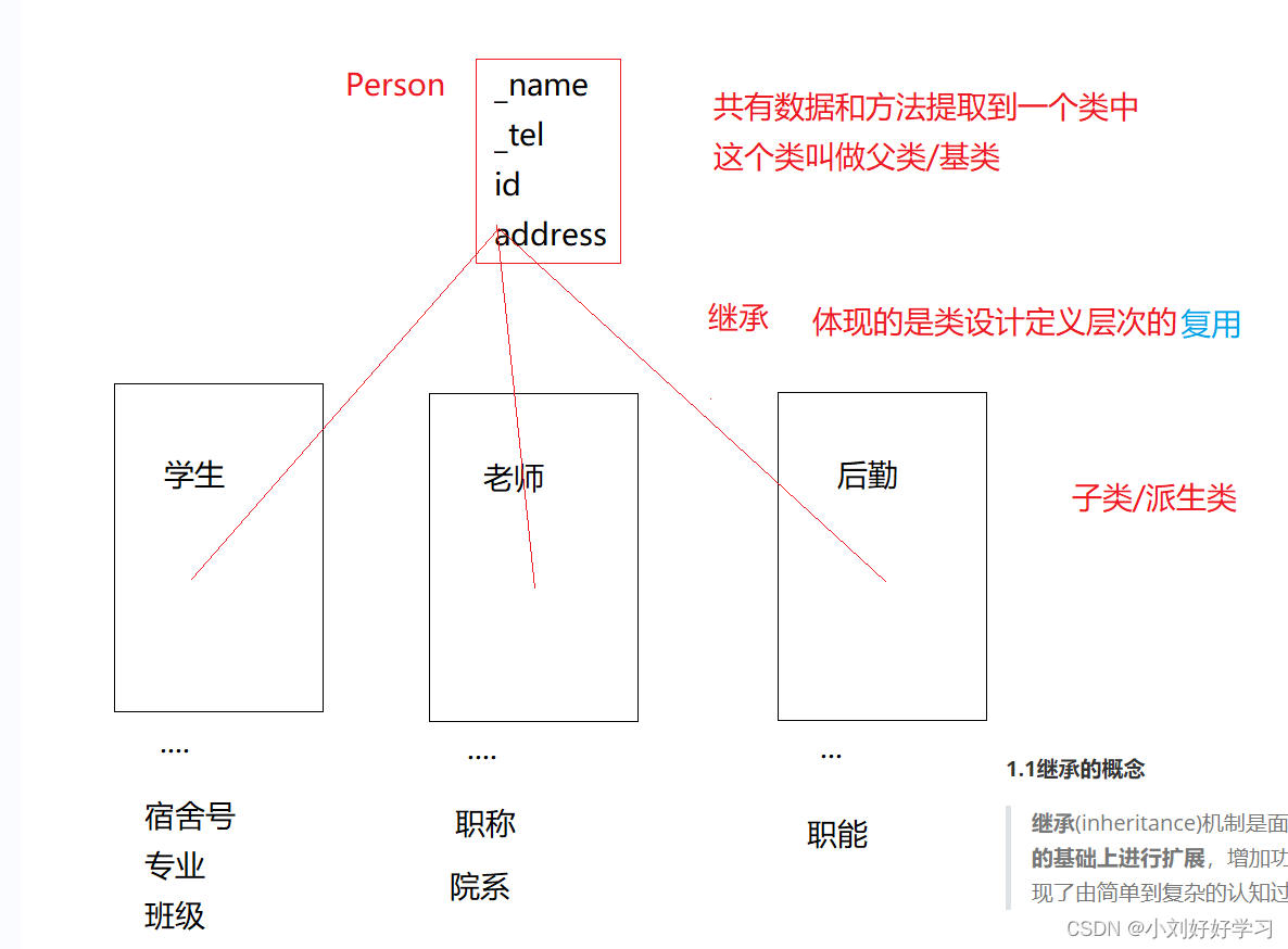 【c 】继承的基础知识的详细讲解(作用域、默认函数、单继承、多继承 C 父类函数与子类函数的作用域 Csdn博客