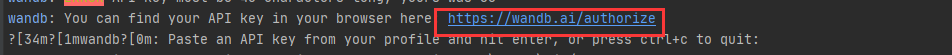 成功解决：wandb.errors.UsageError: api_key not configured (no-tty). call wandb.login(key=[your_api ...