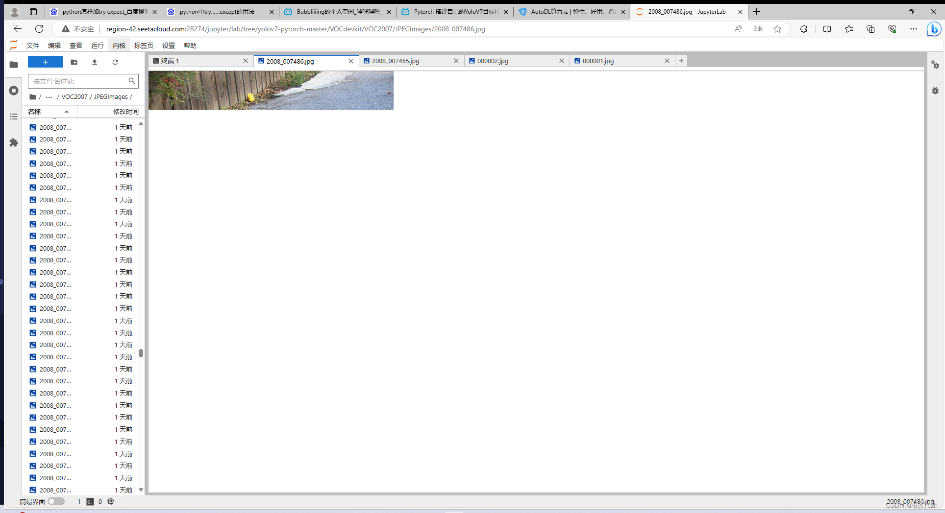 Bubbliiiing yolov训练模型踩坑记录_oserror: caught oserror in dataloader worker proce-CSDN博客