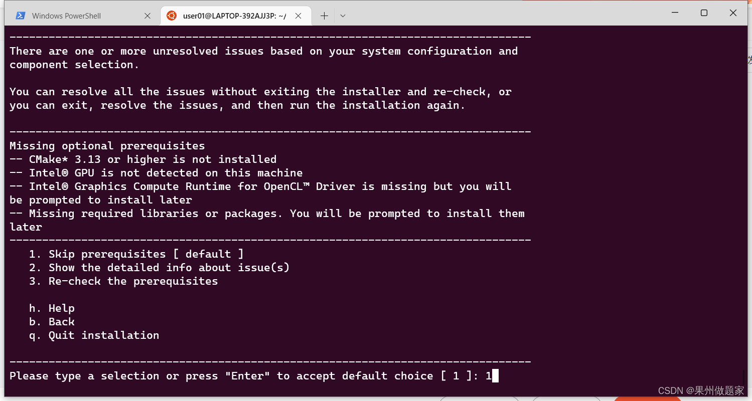 wsl安装英特尔openvino_lspci: cannot find any working access method-CSDN博客