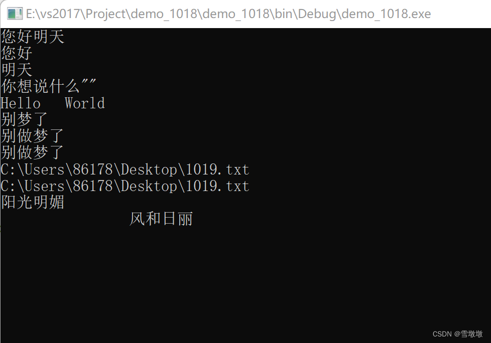 C 占位符和常用转义符c占位符 Csdn博客 