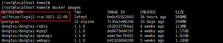 Apache Log4j2代码执行漏洞复现（cve-2021-44228）-CSDN博客