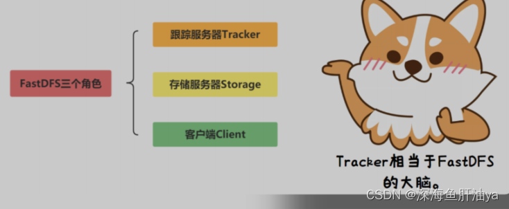 FastDFS入门宝典（一）概述-CSDN博客