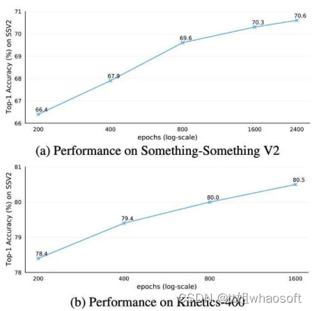 VideoMAE_videomae visualization reconstruction script: erro-CSDN博客