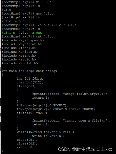 Linux实验:linux环境编程在linux环境下执行以下代码若程序正常运行子进程创建成功屏幕上得到怎样的输出 Csdn博客