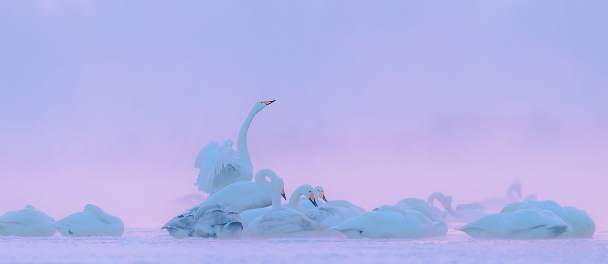 Zabbix disk performance for use (the iostat) monitoring the linux - Programmer Sought