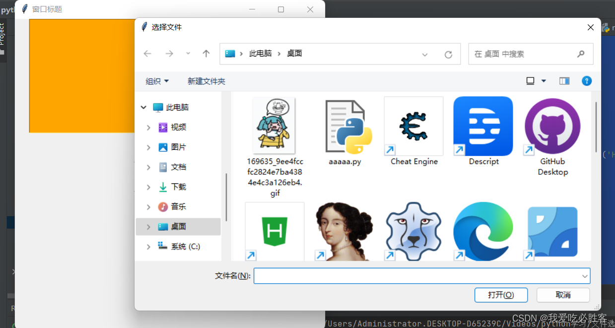 【python实操】安装软件时候选择文件安装目录模块的实现方法python Thinker选择目录组件 Csdn博客