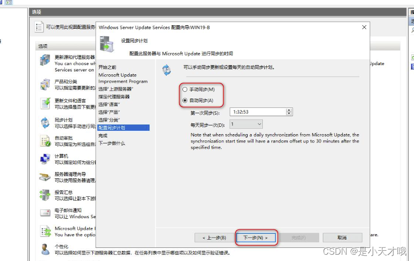 windows server服务-WSUS服务搭建_wsus补丁服务器-CSDN博客